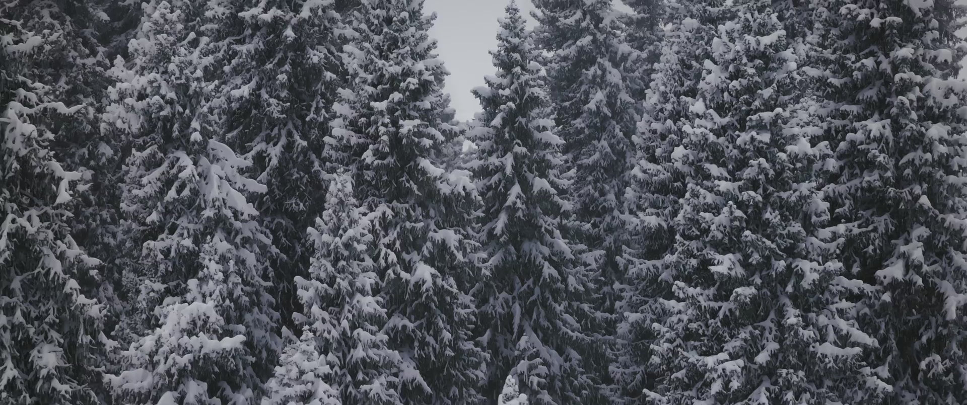 Hypershell: AI-Powered Exoskeleton for Hiking, Travel & Daily Use ...