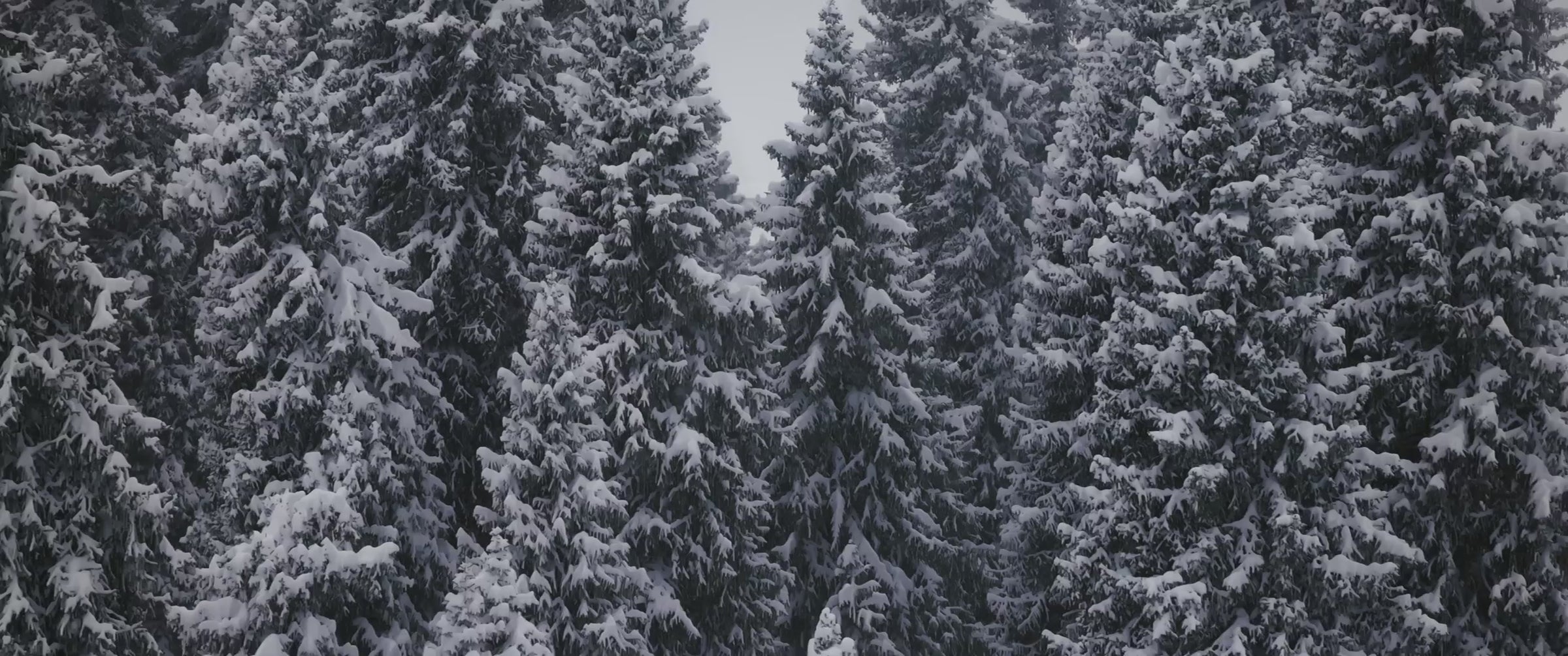 Hypershell | Next-Gen Exoskeleton Power Your Adventure – Hypershell Tech EU